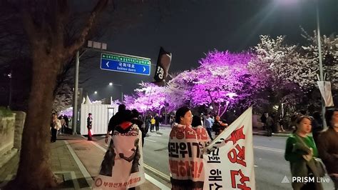 여의도 윤중로밤벚꽃 부정선거 알리기 Youtube