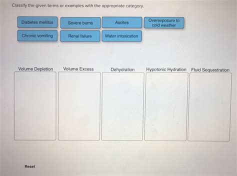 solved classify the given terms or examples with the