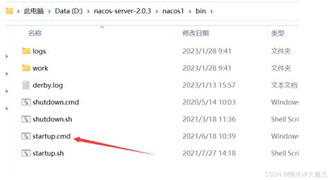 Nacos教程 Csdn博客