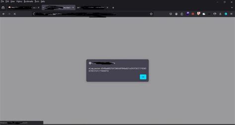 Akash Kr Thakur On Linkedin A Small Xss Vulnerability Found In A Spanish Site