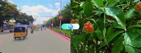 Data Annotation Techniques For Computer Vision