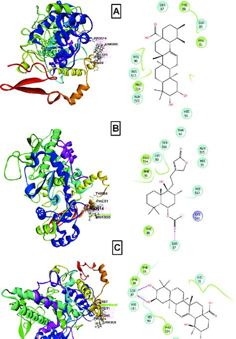 Best Ranked Pose And 2d Interactions Of A Corosolic Acid B
