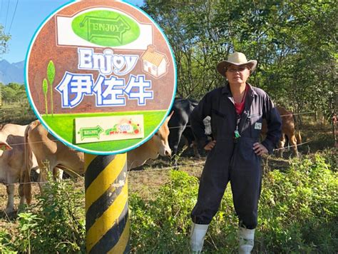 國產牛肉消費量逐年增 國內肉牛專用種前景看好 農傳媒