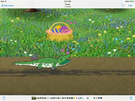 alligator max and ruby wiki fandom