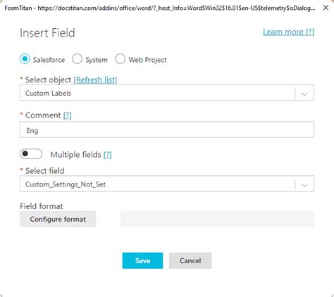 Salesforce Word Add In Custom Labels