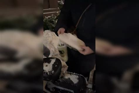 年轻人的睡眠质量就是好，这么冷的天，躺下就能睡着！