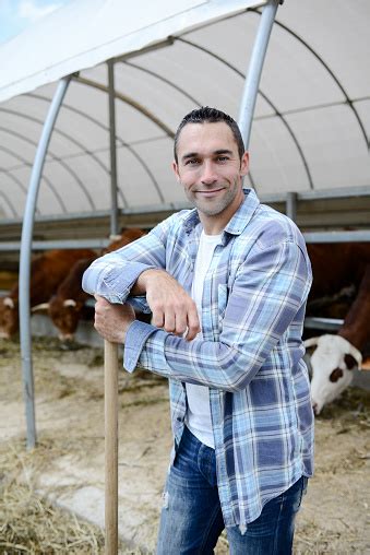 농업 생산 Charolais 암소와 가축 돌보는 가축 작은 사육 농업에 잘생긴 농부의 초상 25 29세에 대한 스톡 사진 및