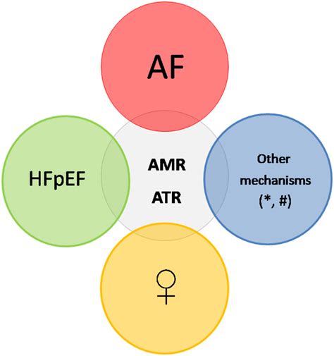 Differents Factors Contribute To The Occurrence Of AMR And ATR The Download Scientific Diagram