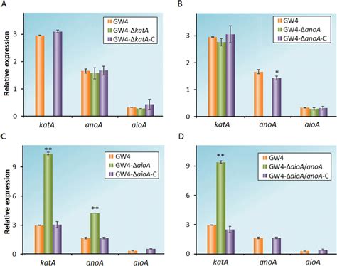 Quantitative Reverse Transcriptase Pcr Analysis Of The Genes Associated Download Scientific
