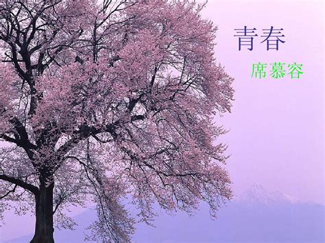 青春 席慕容 文档下载
