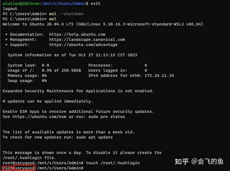 Wsl Ip Dns