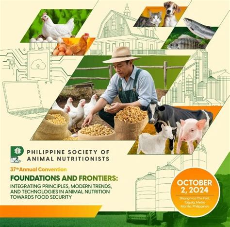 Philsan Chino Borja L Pft Mba Fsco