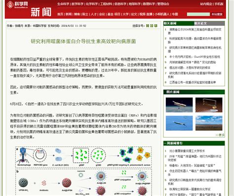 科学网研究利用噬菌体蛋白介导抗生素高效靶向病原菌 四川农业大学新闻网