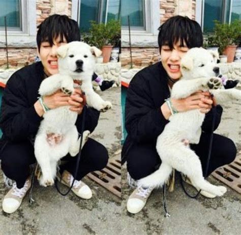 💕los Idols Y Sus Mascotas 💕 •k Pop• Amino
