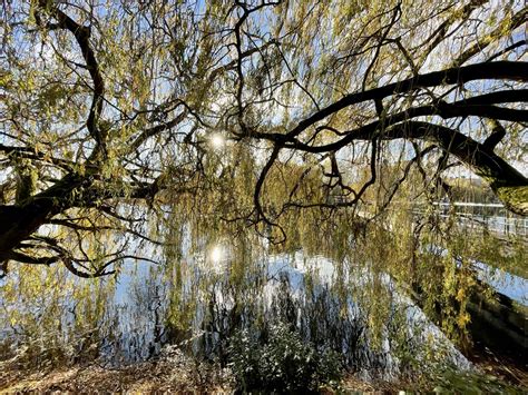 Complex Interface Team