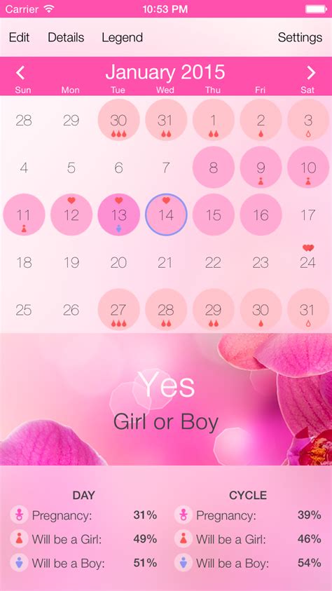 menstrual calendar pink anastasia kovba