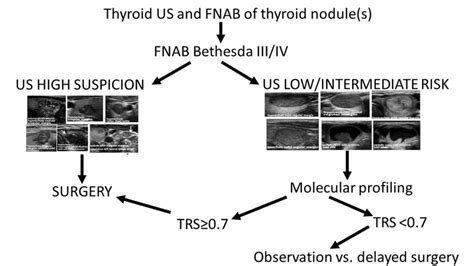 Figure 5 From A Novel Risk Stratification System For Thyroid Nodules With Indeterminate Cytology