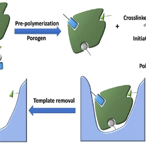 Three Imprinting Approaches A Non Covalent B Reversible Covalent