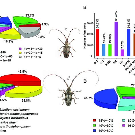 Annotation Of The Transcriptome In P Antennata Illustrating The