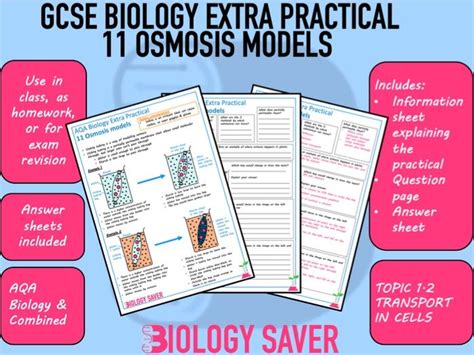 GCSE Biology Practical Osmosis Models Teaching Resources