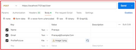 Model Binding Using Fromform In Aspnet Core Web Api Dot Net Tutorials