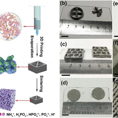 Fabricated Strategy 3d Printing Structures And Corresponding