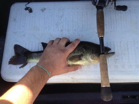 The Top 5 Freshwater Fishing Spots Near Sarasota