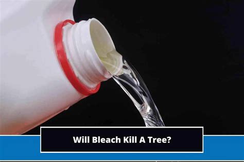 Will Bleach Kill A Tree