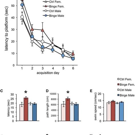 Sex Dependent Effect Of Binge Alcohol On Spatial Navigation A The Download Scientific Diagram