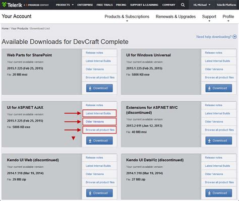 Installing The Report Server Telerik Report Server