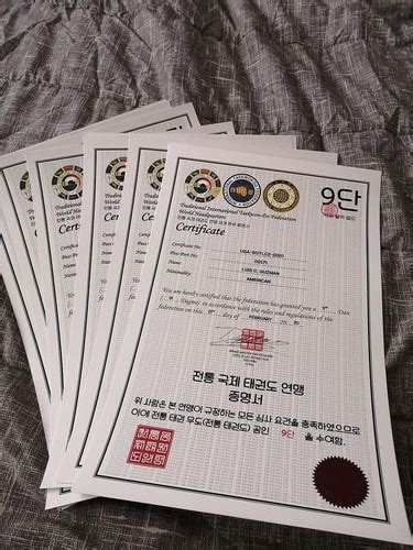 1st Dan Certificate TITF