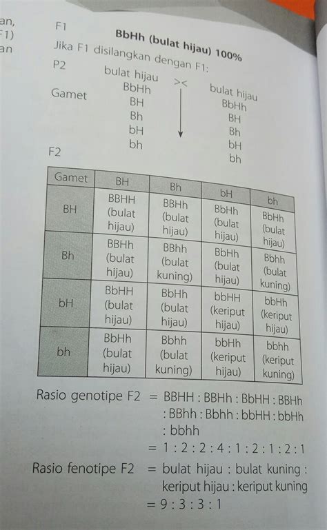Cara Menghitung Rasio Perbandingan