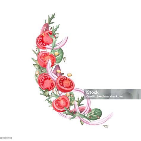 토마토 조각 씨앗 및 녹지로 구성 레스토랑 메뉴 디자인 미식 잡지 포스터 축제 전단지에 대한 음식 테마에 고립 된 수채화 그림 건강한 생활방식에 대한 스톡 벡터 아트 및
