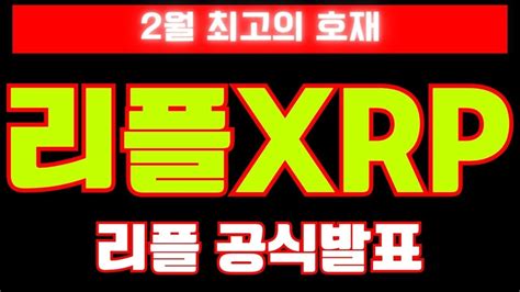 리플 2월은 리플이 지배한다리플 리플전망 리플코드제로crypto Youtube