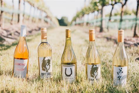 This Richmond Winery Offers B C Wine Country Experiences In The City