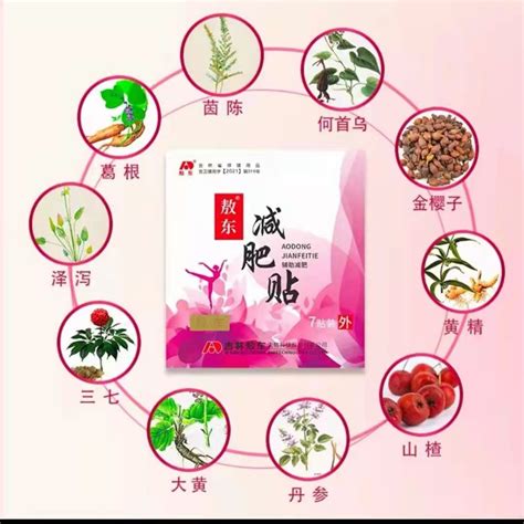 敖东减肥贴吉林敖东生物科技股份有限公司 药源网