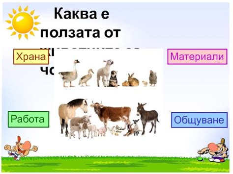 Домашни животни