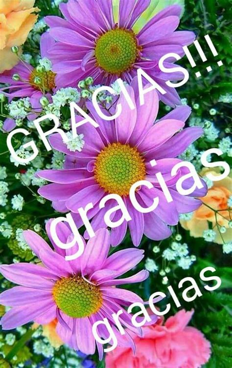 Pin de Gabriela Quintal en gracias muchas gracias Gracias saludos Imágenes de gracias
