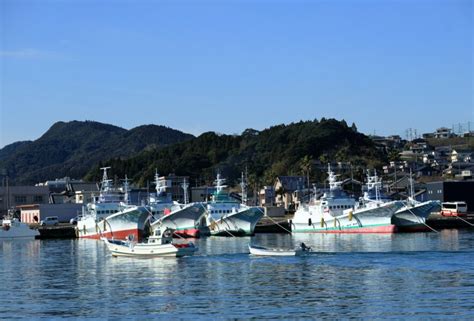 300年続く一本釣りは地域を支える 宮崎県日南市のかつお一本釣り漁業 サカナト
