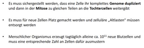 Zellzyklus Und Zellteilung Flashcards Quizlet