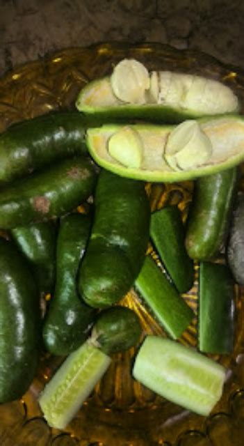 Namakucella Ulam Pucuk Genuak A K A Kerdas