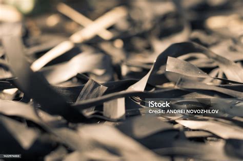 추상적 인 특이한 벽지 얽힌 줄무늬 라인 종이 질감 재료 곡선 리본 혼란 현대적인 기하학적 디자인 미래 무연탄 세피아 라이트 브라운 블랙 그레이 하이라이트 톤 흐림 효과 0