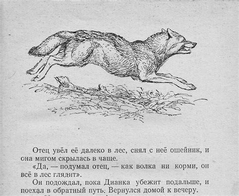 О.Перовская "Ребята и зверята"1957, рисунки В.Ватагина и И.Година ...