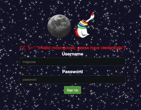 Fetch The Flag Ctf 2022 Writeup Moongoose Snyk