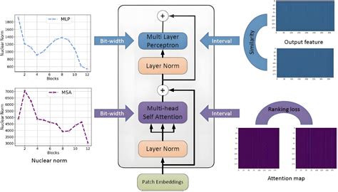 模型量化是什么？一文读懂模型量化的定义与核心作用 Csdn博客