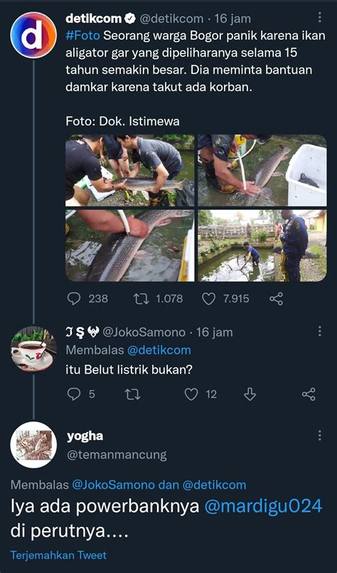 Txtdaribogor On Twitter Ckcsonj4pb Twitter