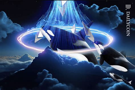Crypto Whale Nightmare 24m Lost In Massive Phishing Scam Dailycoin