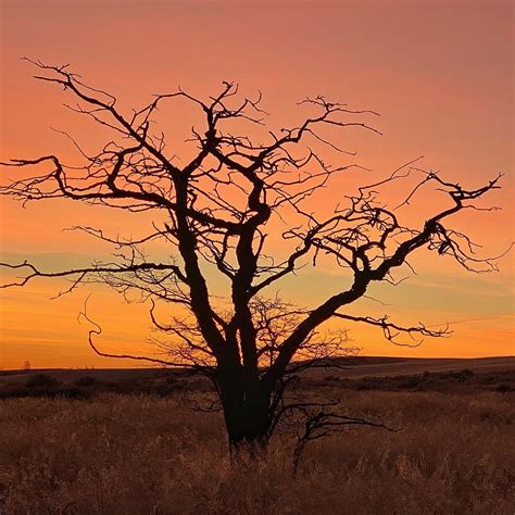 Country Sunrise Photograph By Jerry Abbott Fine Art America