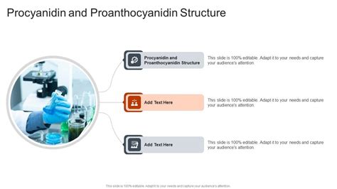 Procyanidin And Proanthocyanidin Structure In Ppt Powerpoint Presentation Slide Templates Cpp