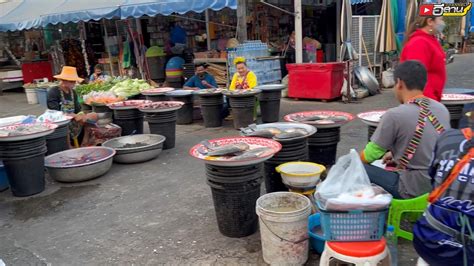 พาเดินชมตลาดสด แม่ใหญ่ตู้พาเดินชมตลาดสด และสะพานแม่น้ำมูลยามแลง By